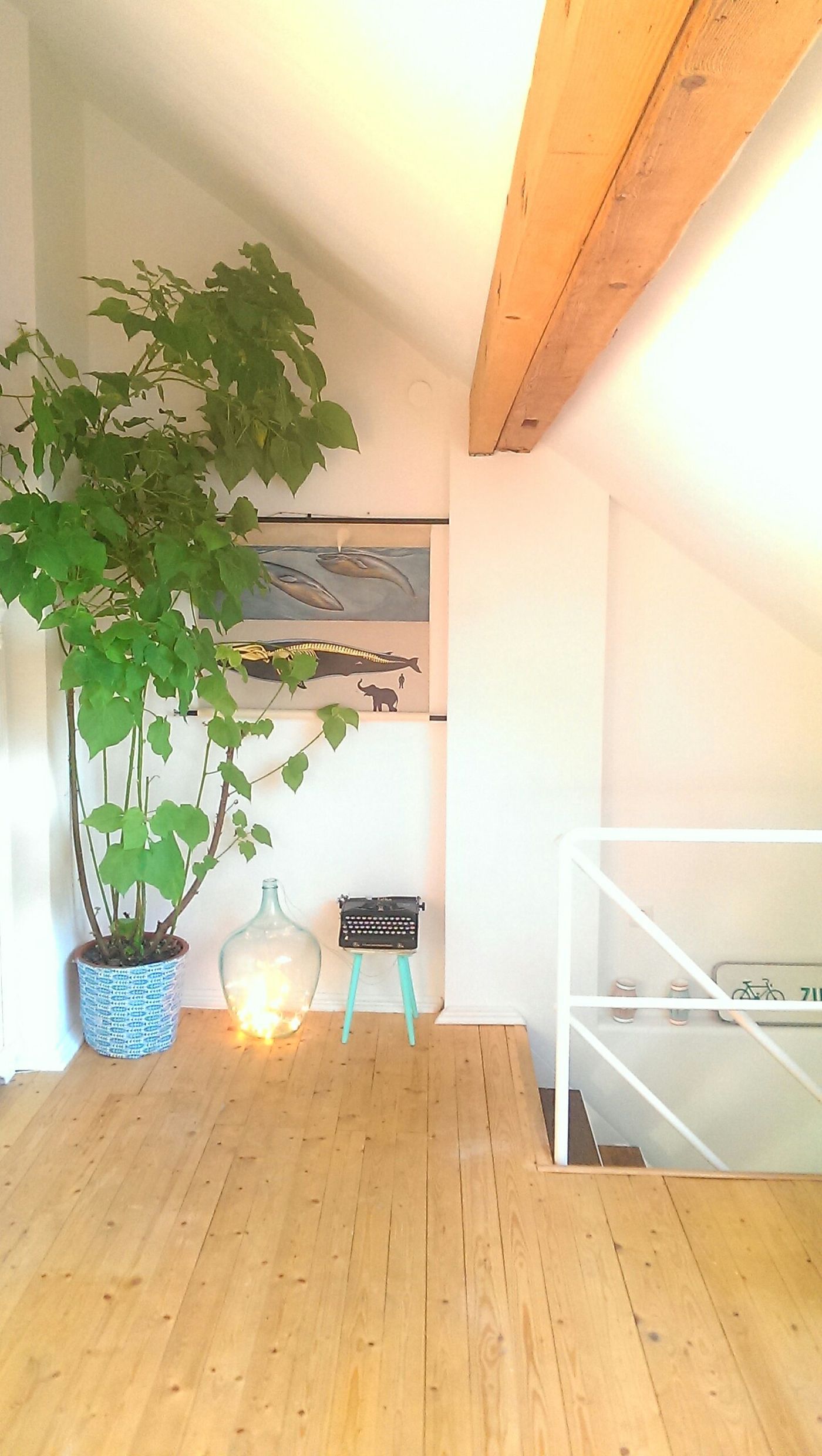 Dachboden einrichten und gestalten - Seite 6