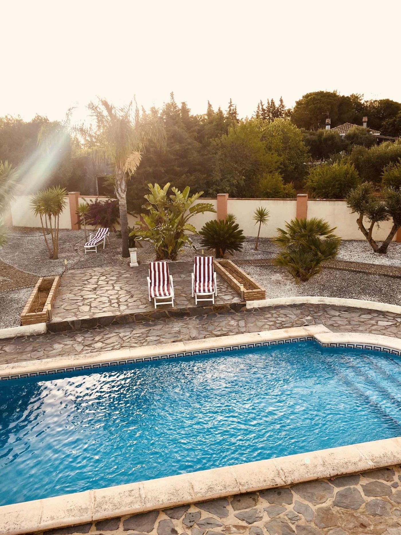 Die besten Garten Pool Ideen - Seite 7